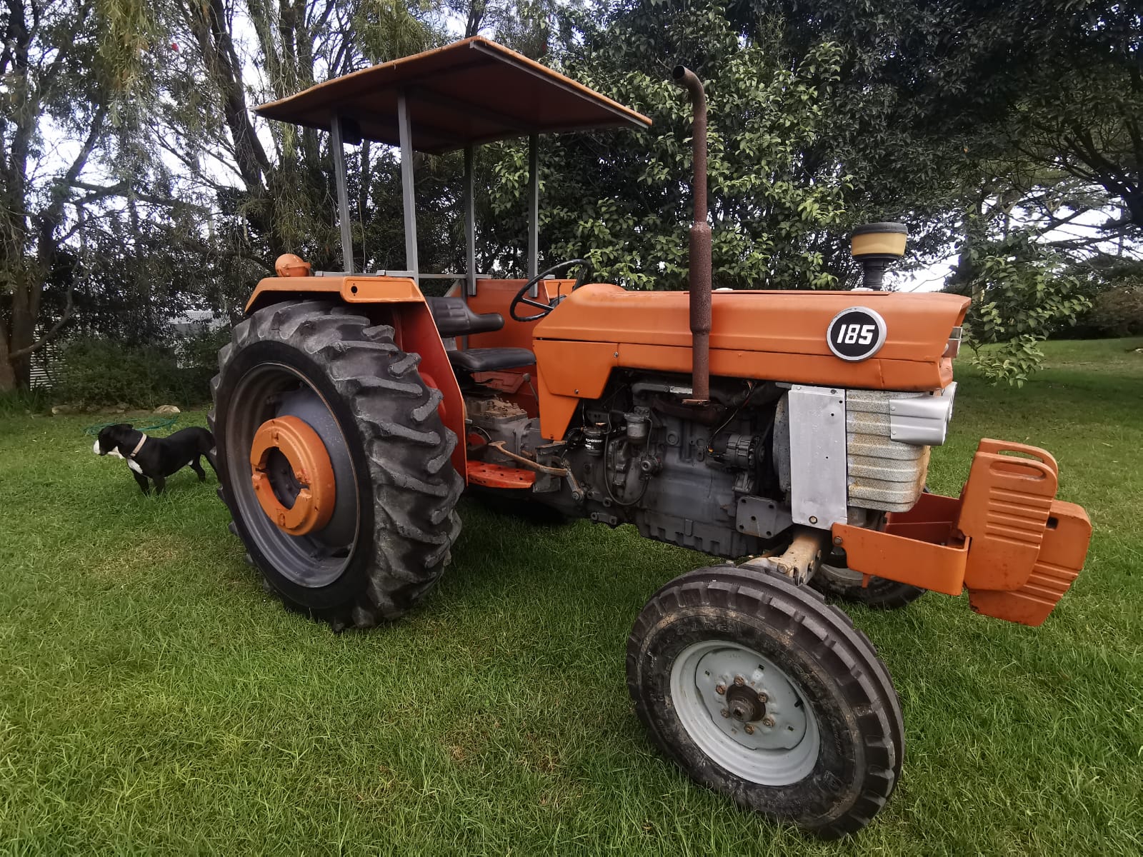 Massey Ferguson 185 - Farmer Trade